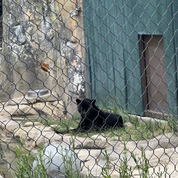 OC ZOO IRVINE REGIONAL PARK - Updated January 2025 - 52 Photos & 27 ...