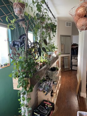 THAT FEELING CO - Updated December 2025 - 114 Photos & 41 Reviews ...