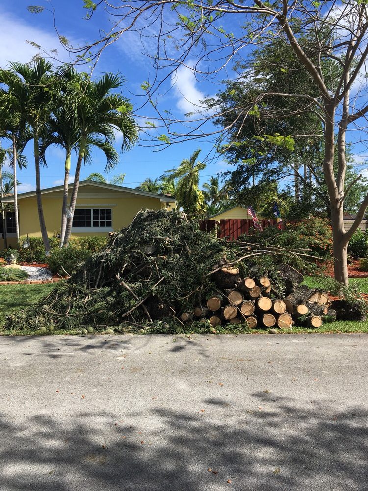 ROYAL TREE SERVICE - Updated May 2025 - Miami, Florida - Tree Services ...