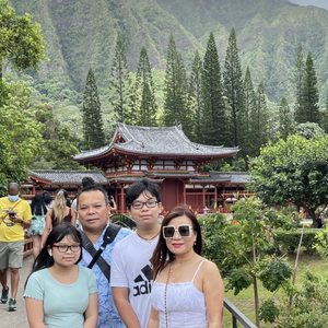 HAWAII ALOHA TRAVEL - Updated June 2025 - 11 Photos & 29 Reviews - 6800 ...