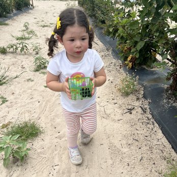 ROCKBERRY RANCH - Updated July 2024 - 94 Photos & 15 Reviews - 995W ...