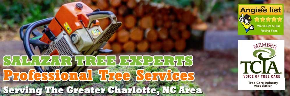 SALAZAR TREE SERVICE - Updated May 2025 - 3932 Medallion Dr, Charlotte ...