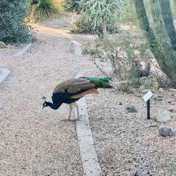 GLENDALE PUBLIC LIBRARY - Updated February 2025 - 89 Photos & 19 ...