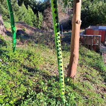 SCRAP PDX - Updated May 2025 - 62 Photos & 84 Reviews - 619 SE 6th Ave ...