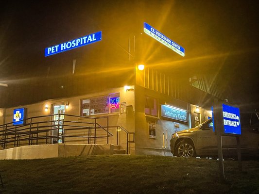 CONNECTICUT VETERINARY CENTER - Updated January 2026 - 40 Photos & 88 ...