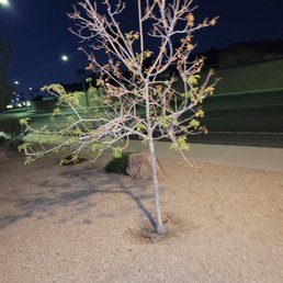 First Service Residential Reviews | Read Customer Service Reviews of ...