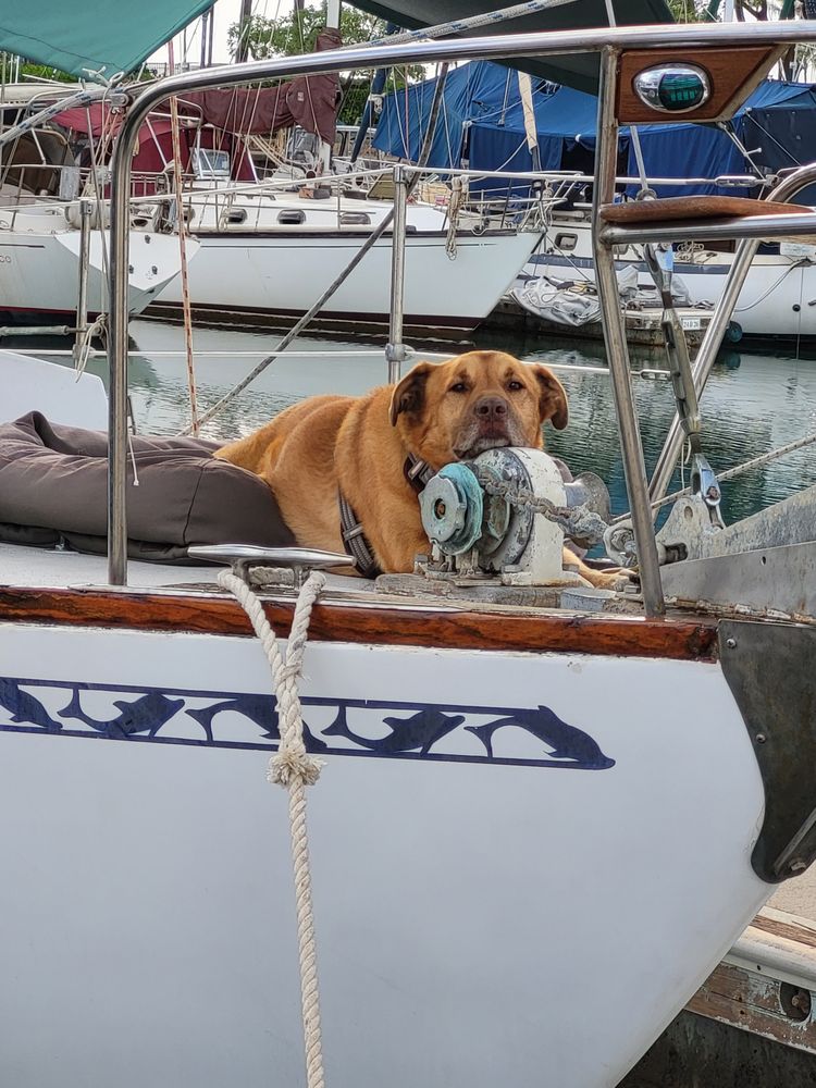 BAM BOATWORKS - Tacoma, WA - Yelp