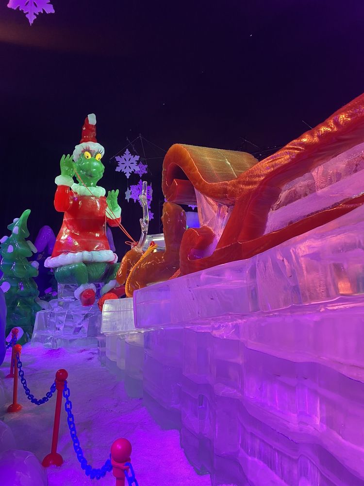 ICE! - Updated November 2024 - 433 Photos & 337 Reviews - 1501 Gaylord ...