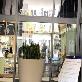 SPLURGE - Updated December 2025 - 52 Photos & 45 Reviews - 9595 ...