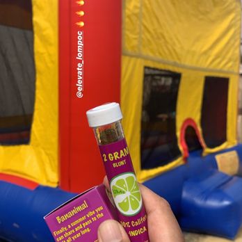 ELEVATE - Updated June 2025 - 59 Photos & 53 Reviews - 118 S H St ...