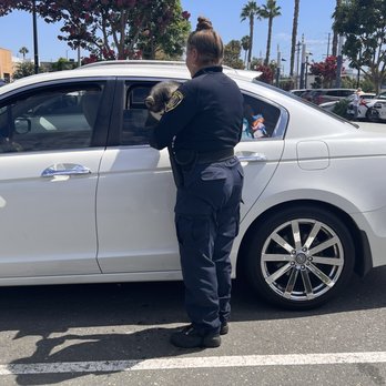 SOUTHEAST AREA ANIMAL CONTROL AUTHORITY - Updated November 2024 - 201 ...