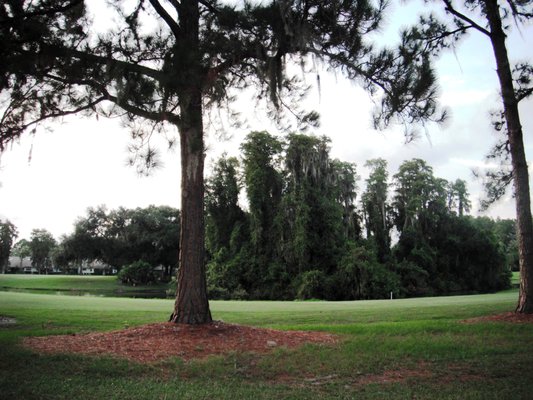 SEVEN SPRINGS GOLF AND COUNTRY CLUB - 19 Photos & 21 Reviews - 3535 ...