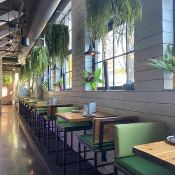 FERN THAI CAPITOL HILL - Updated July 2024 - 496 Photos & 159 Reviews ...