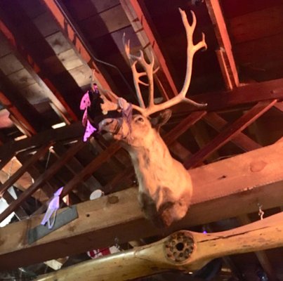 ROCK REST LODGE - 66 Photos & 191 Reviews - Bars - 16005 Mt Vernon Rd ...