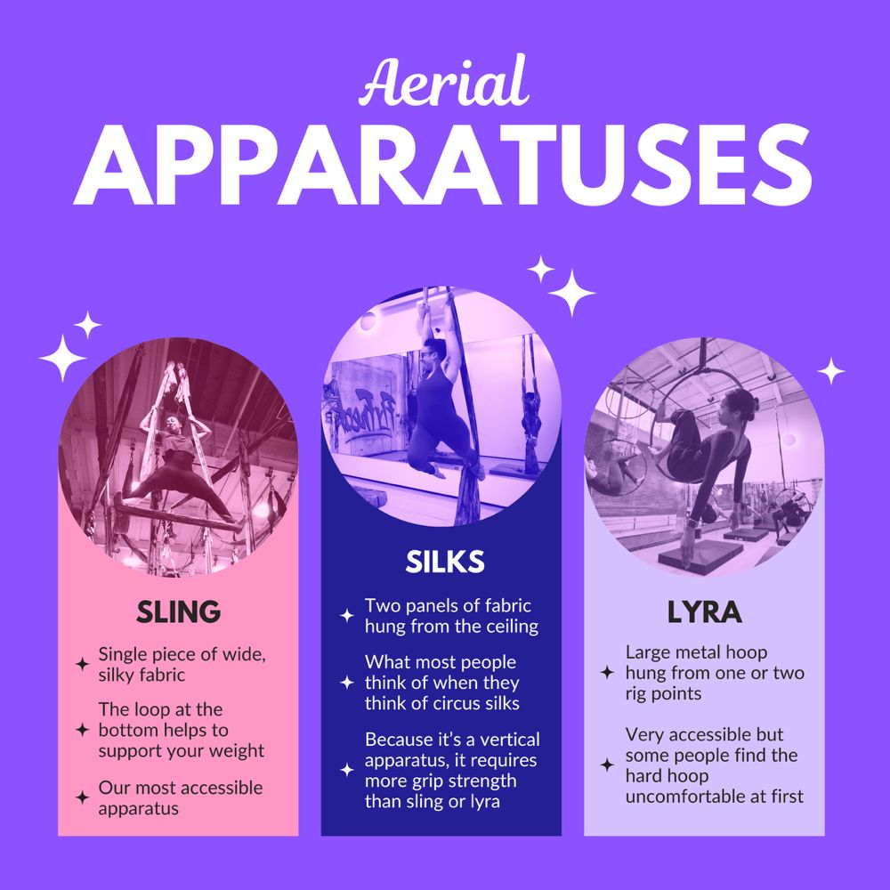 FLY FREAK STUDIO - Updated March 2025 - 163 Photos & 15 Reviews - 755 ...