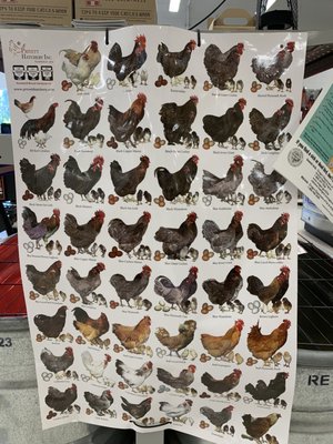 WILCO FARM STORE - OREGON CITY - Updated July 2025 - 20 Photos & 48 ...