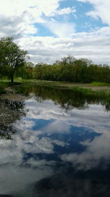 TOP COTTAGE - Updated May 2025 - 25 Photos - Hyde Park, New York ...