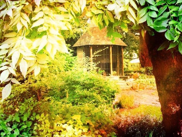 WALSALL ARBORETUM - Updated October 2024 - Lichfield Street, Walsall ...