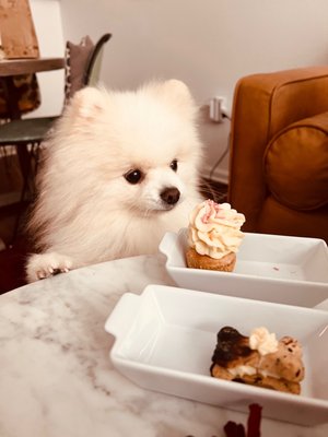 LE MARCEL BAKERY FOR DOGS - Updated January 2026 - 278 Photos & 170 ...