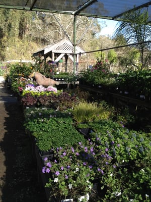 BONGARD’S TREESCAPE NURSERY - Updated December 2025 - 29 Reviews ...