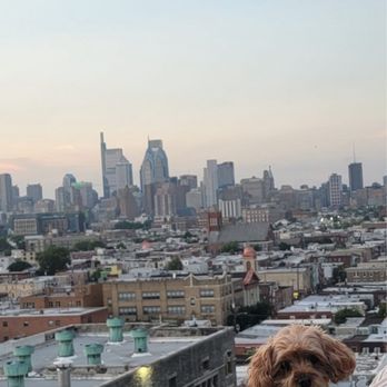 BOK BAR - Updated November 2025 - 549 Photos & 339 Reviews - 800 ...