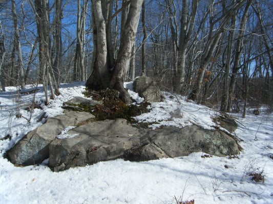 GREAT SWAMP MANAGEMENT AREA - Updated January 2026 - 31 Photos ...