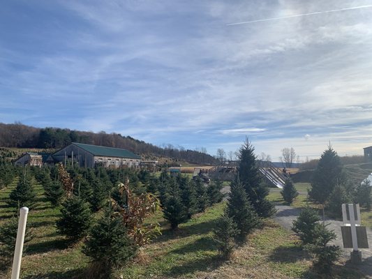 SPRINGSIDE FARM - Updated July 2025 - 12 Photos - 1850 NY-91, Fabius ...