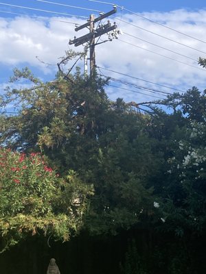 MOUNTAIN F ENTERPRISES - Updated December 2025 - 10 Photos & 43 Reviews ...