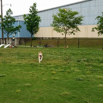 JACKSON DOWNTOWN DOG WALK - Updated October 2025 - Union Ave, Jackson ...