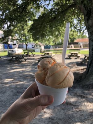 HOMELAND CREAMERY - Updated September 2024 - 46 Photos & 61 Reviews ...