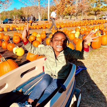 ROCKY RIDGE ORCHARD - Updated November 2025 - 50 Photos & 28 Reviews ...