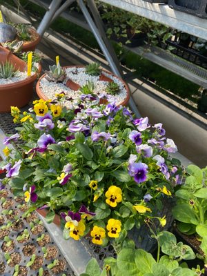 RIGHTWAY GARDEN CENTER - 28 Photos - 5529 N Bend Rd, Burlington ...