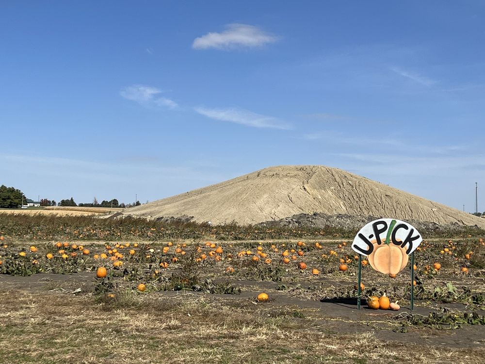 RADER FAMILY FARMS - Updated April 2026 - 45 Photos & 16 Reviews - 1312 ...