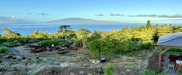 MAUI MANGO MALA - Updated February 2025 - 16 Photos - 15 Wailau Pl ...