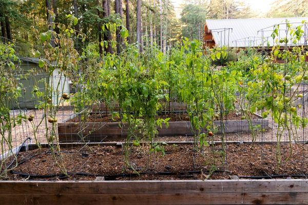 YMCA CAMP CAMPBELL - Updated October 2025 - 163 Photos & 70 Reviews ...