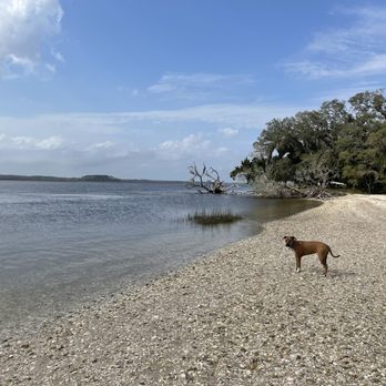 GUANA RIVER STATE PARK - Updated April 2025 - 838 Photos & 38 Reviews ...