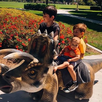 DINO ENCOUNTERS - Updated October 2024 - 72 Photos & 28 Reviews ...