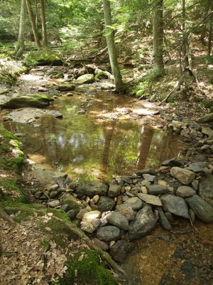 LOCUST LAKE STATE PARK - Updated June 2026 - 45 Photos & 17 Reviews ...