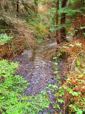 FAIRHAVEN PARK - Updated September 2025 - 24 Photos - 2222-2298 ...