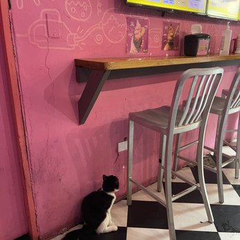 DR. BIZZARO BUBBLE TEA LAB - Updated October 2025 - 15 Photos - 1006 ...