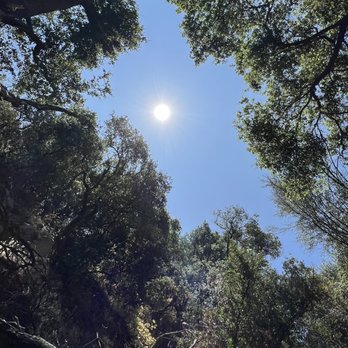 CRESCENTA VALLEY PARK - Updated January 2026 - 157 Photos & 24 Verified ...