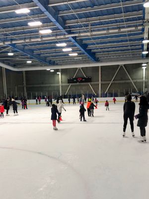 WORLD ICE ARENA - 86 Photos & 79 Reviews - 13135 Avery Ave, Flushing ...