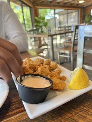 THE CONCH HOUSE RESTAURANT - 1057 Photos & 817 Reviews - 57 Comares Ave ...