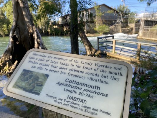 SPRING CREEK PARK - Updated December 2025 - 16 Photos - 4289 US-90 ...