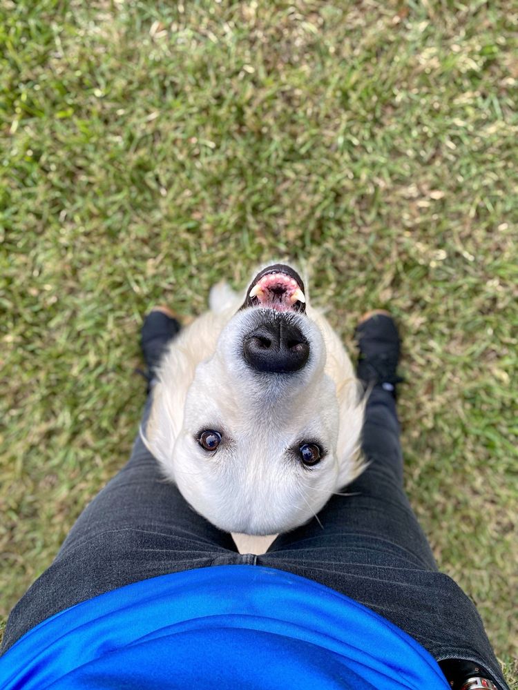 COPPELL DOG PARK - Updated December 2025 - 28 Photos & 30 Reviews - 400 ...