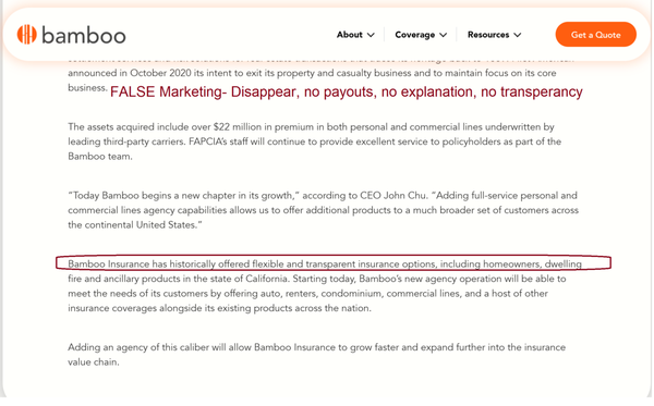 Bamboo Insurance - Trusted Since 2022 - Updated July 2025 - 29 Photos ...