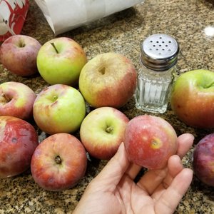 Riley’s Apple Farm - 272 Photos & 164 Reviews - Pick Your Own Farms ...