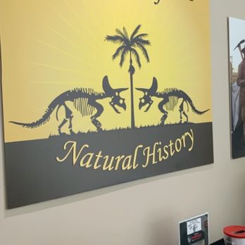 PALM BEACH MUSEUM OF NATURAL HISTORY - Updated December 2025 - 25 ...