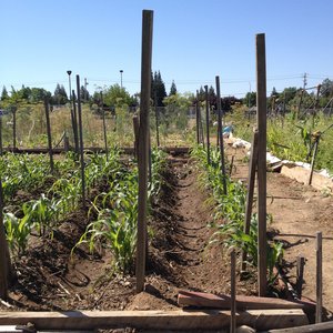 ROEDING PARK - Updated May 2025 - 15 Photos & 15 Reviews - 890 W ...