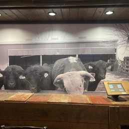 IOWA CHOP HOUSE - Updated December 2025 - 253 Photos & 335 Reviews ...